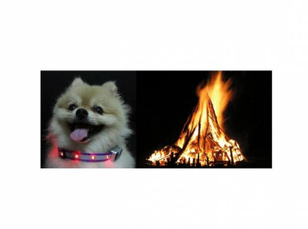 Bonfire Dog Friendly Fun Family Evening & BBQ Thursday 13th November ...